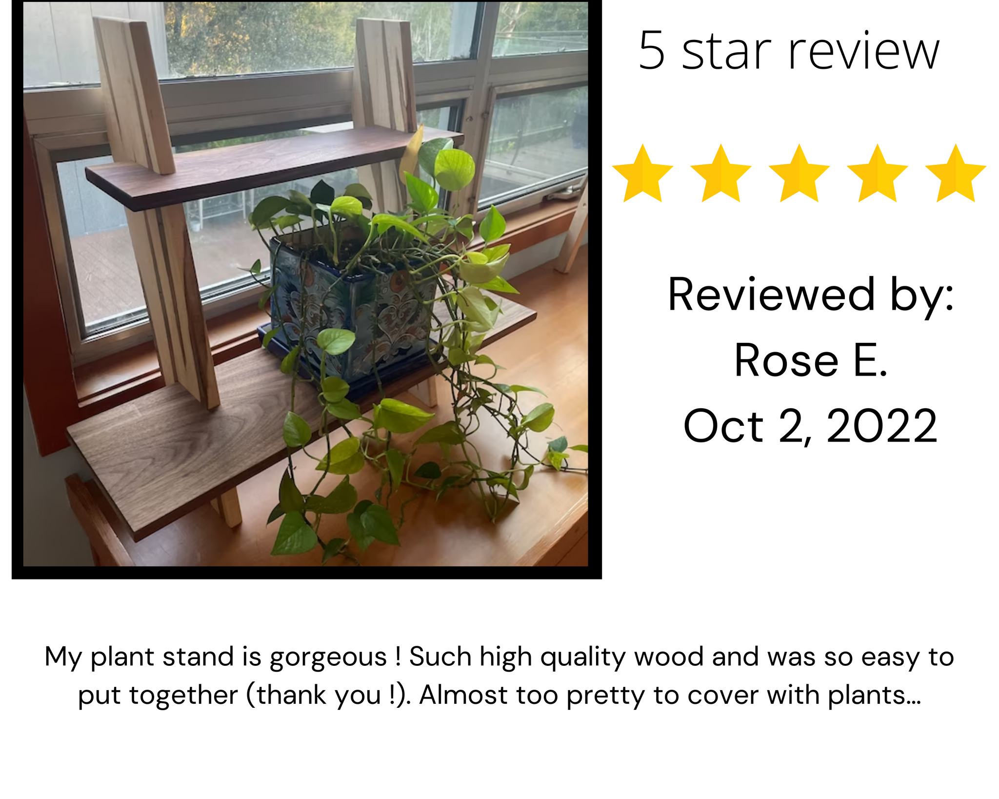 Gravity Ladder Shelf Plant Stand | Multiuse Display Shelf | Indoor Pla ...